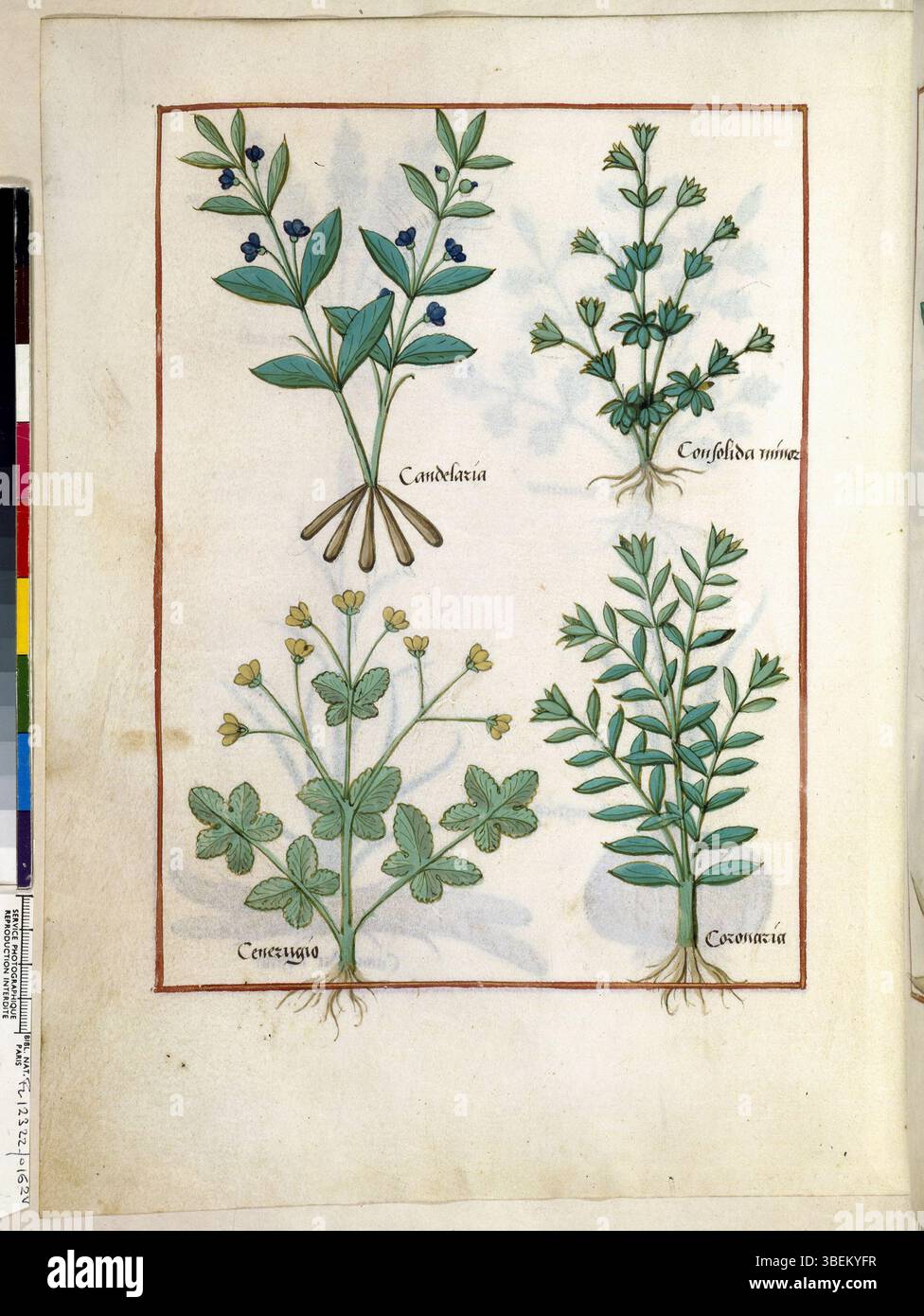 Page f.162v from the BnF Français 12322 manuscript, dating from between ...