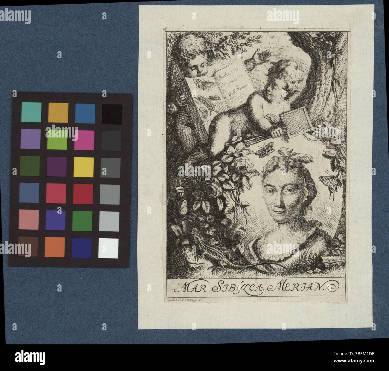 This 1769 etching by J. Rod. Schellenberg features a portrait of Maria ...