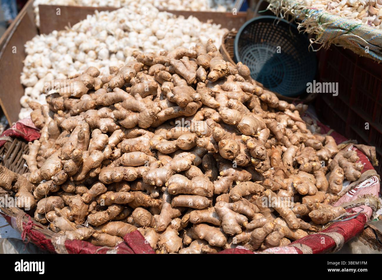 Ginger Root And Garlic Bulb Heap, Spice Market Stall In India, Spicy ...