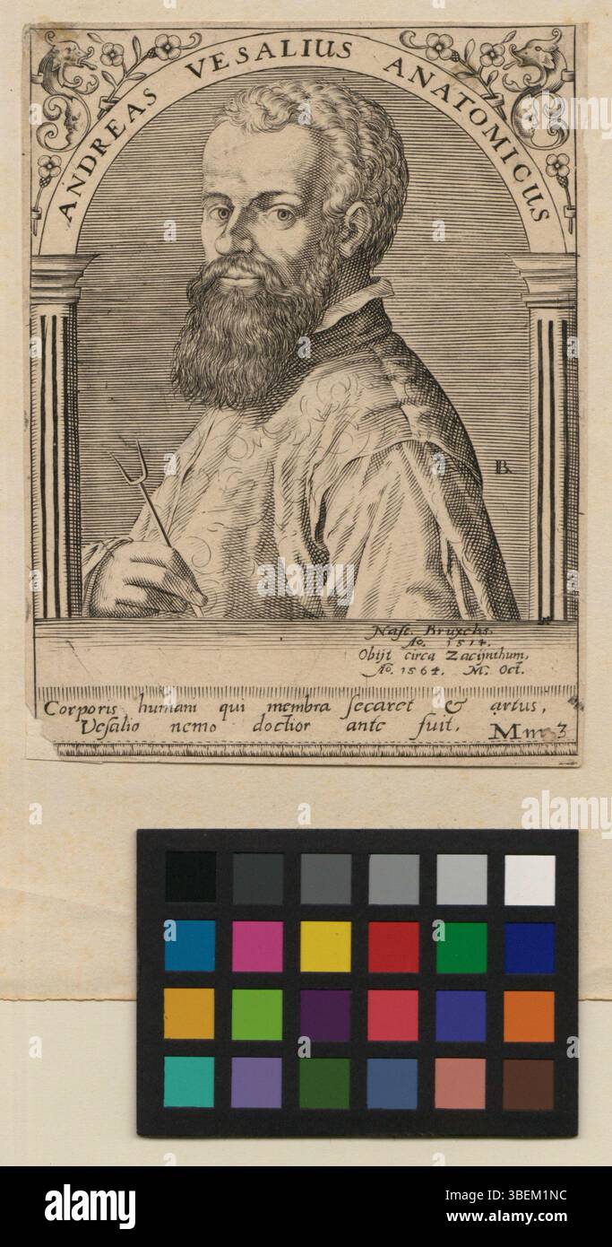 This lithograph from the 1700s depicts Andreas Vesalius, the renowned ...