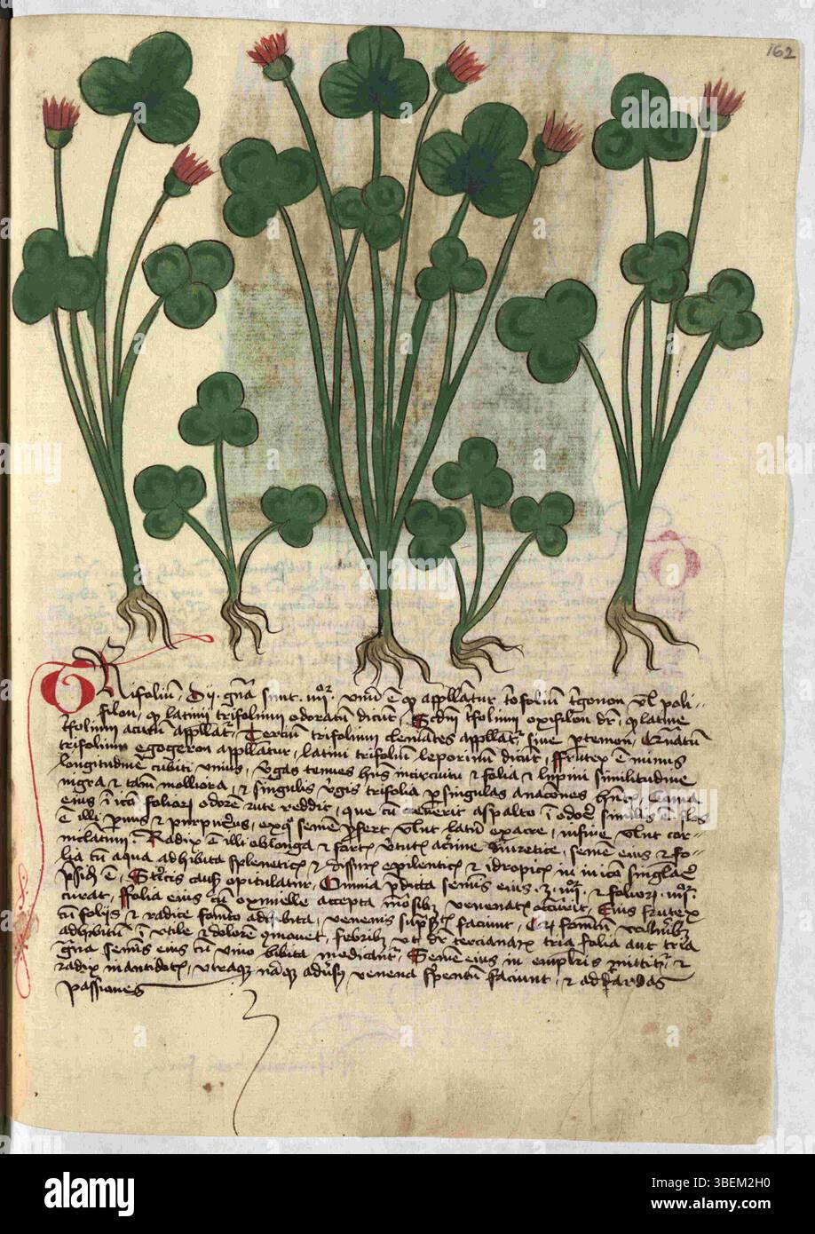 Folio 162r from Munich Cim. 79, created after 1440, features ornate ...