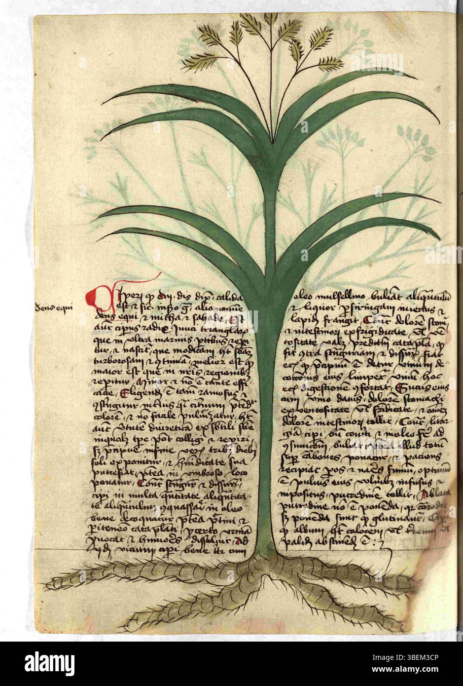 The f.054v page from Munich Cim. 79, created after 1440, is a vivid ...