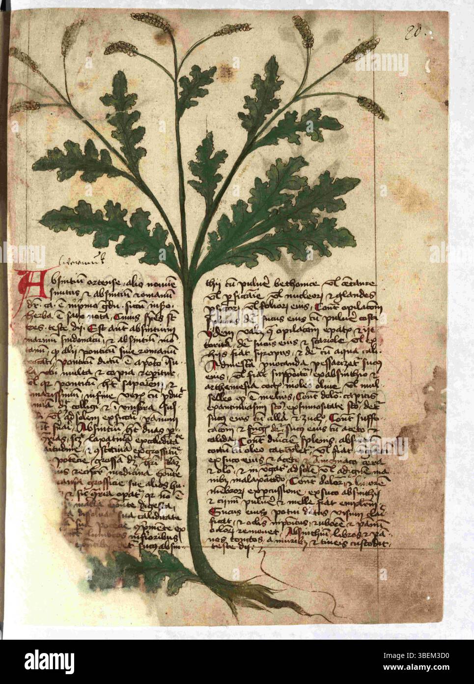The manuscript Munich Cim. 79, f.020r, created after 1440, is part of a ...