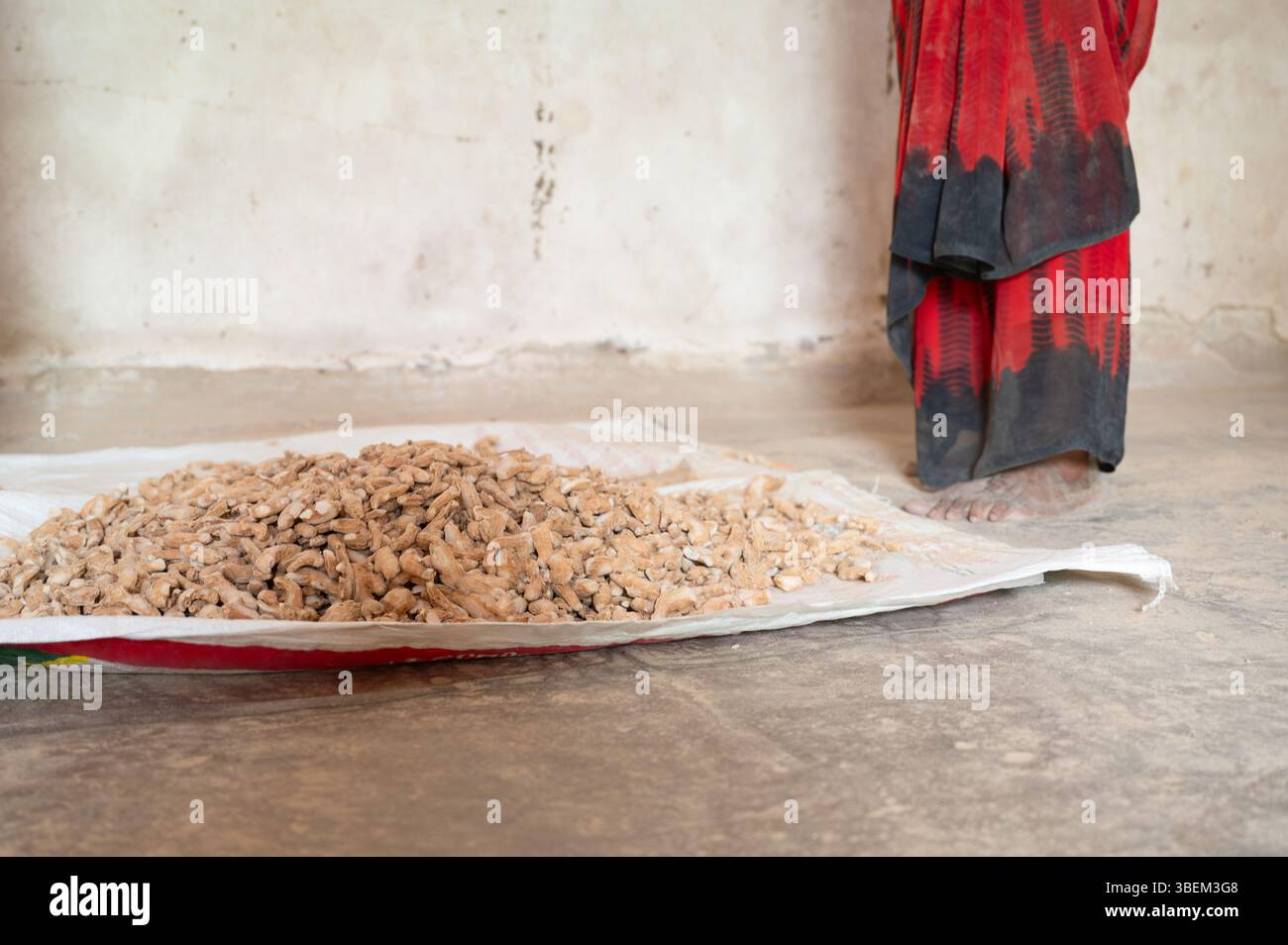 Ginger Root Pile, Spice Factory In India, Spicy Food Ingredient For ...