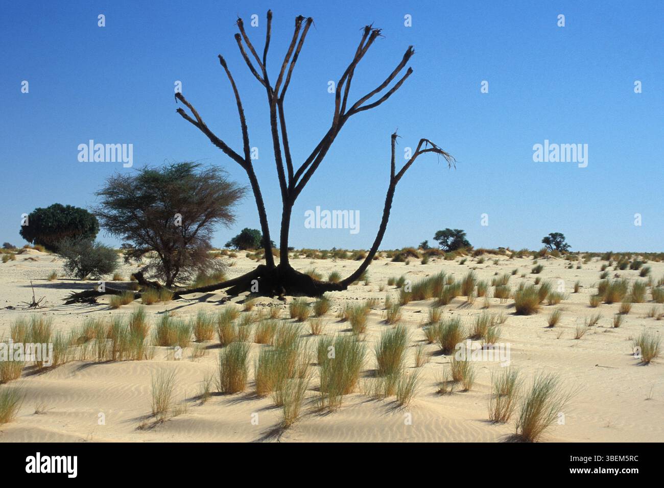Chad. Sahara Desert Stock Photo - Alamy