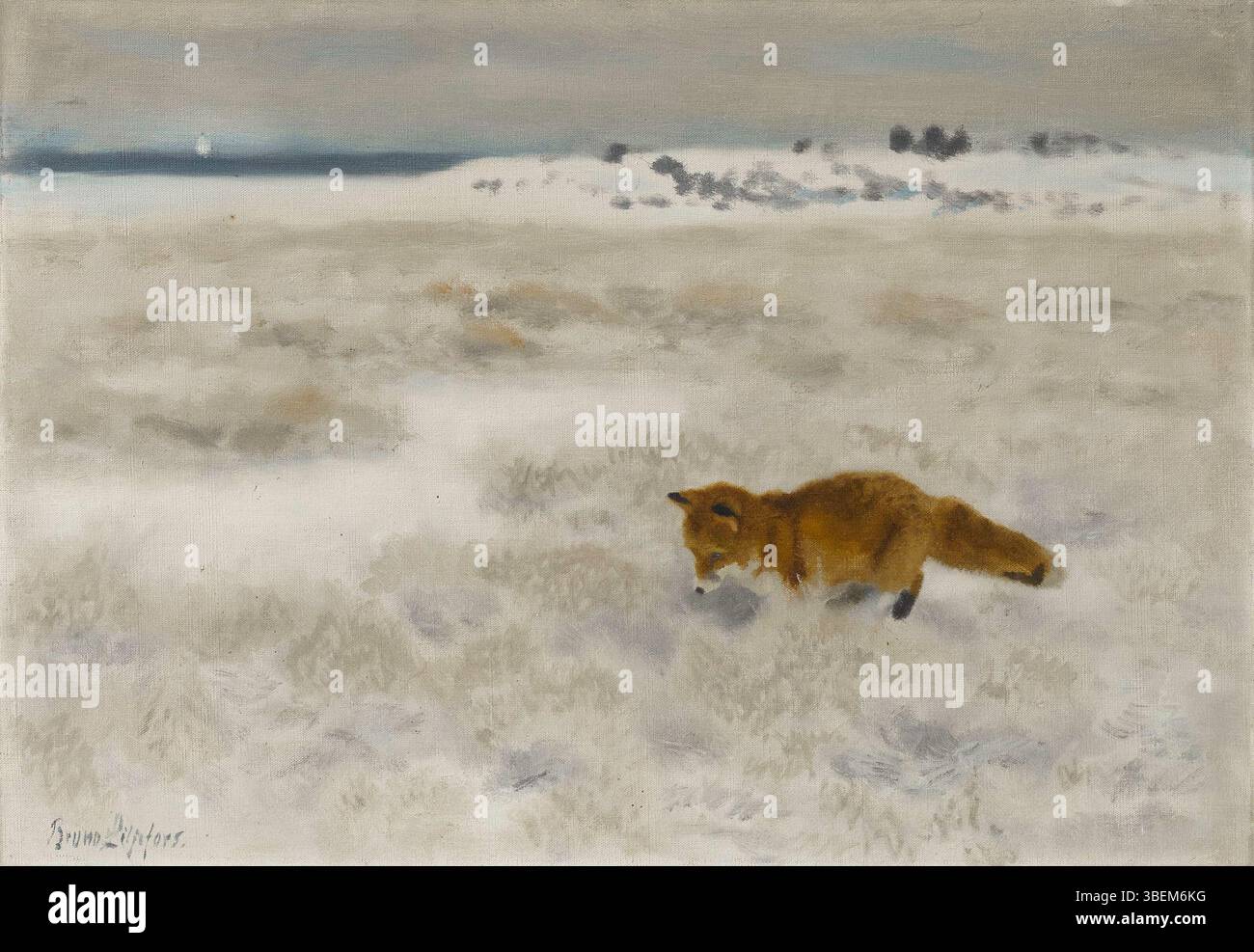 Bruno Liljefors (1860–1939), a Swedish artist, painted *Räv på råttjakt ...