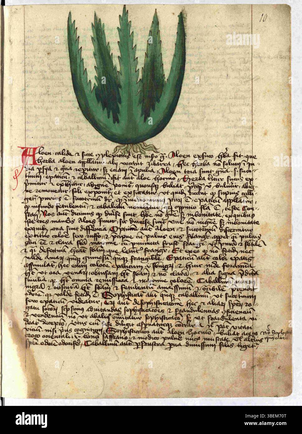 This page from *Munich Cim. 79* (f.010r), created after 1440, features ...