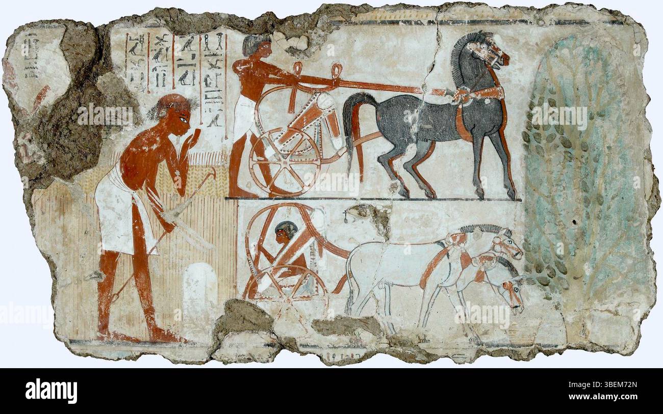 This painting from the Tomb of Nebamun at Thebes, circa 1350 BC, shows ...