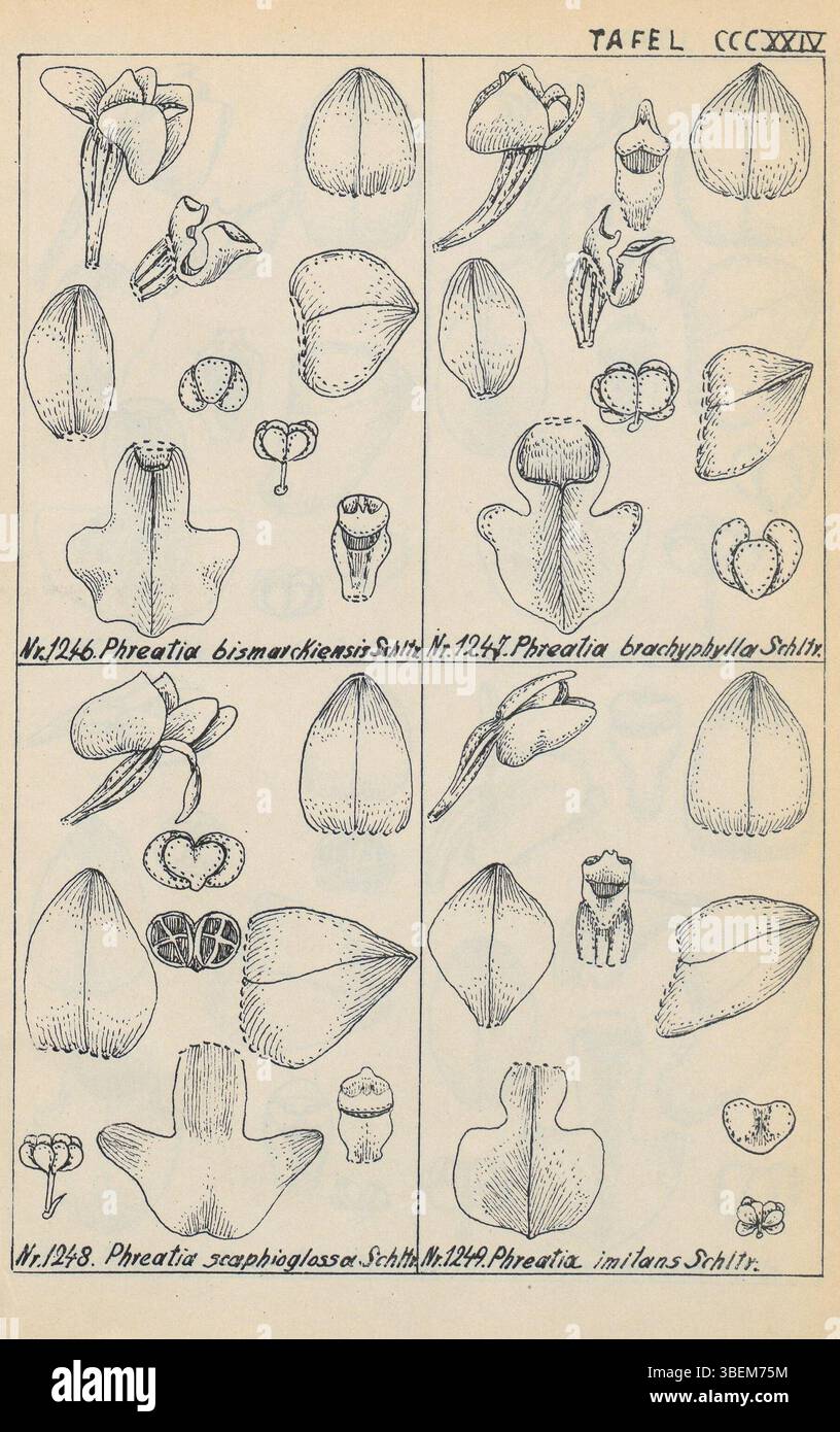 Repertorium specierum novarum regni vegetabilis Dahlem bei Berlin ...