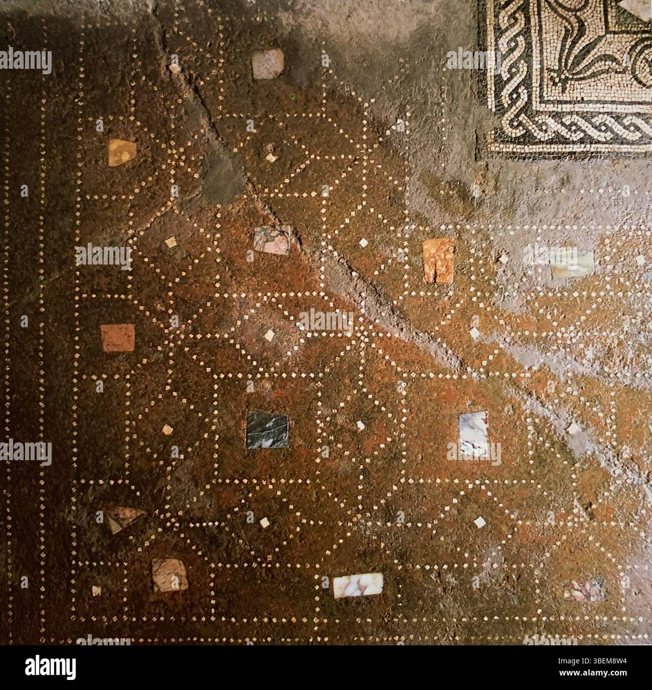 The floor mosaic of Room D in the House of the Ceii, Pompeii, is an ...