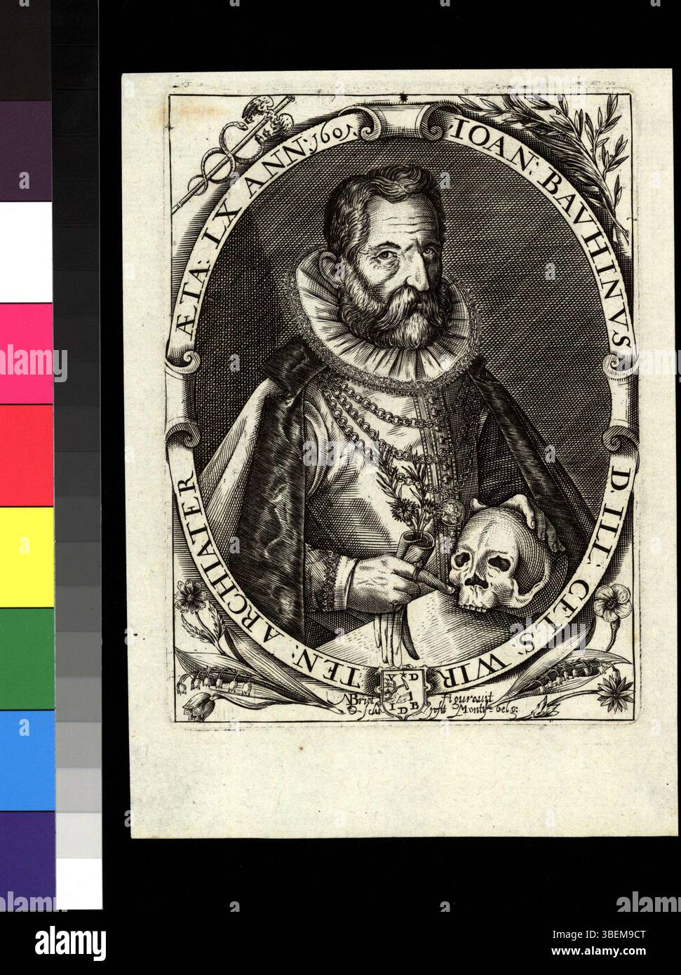 A copperplate engraving of Johann Bauhin, dating from after 1605 ...