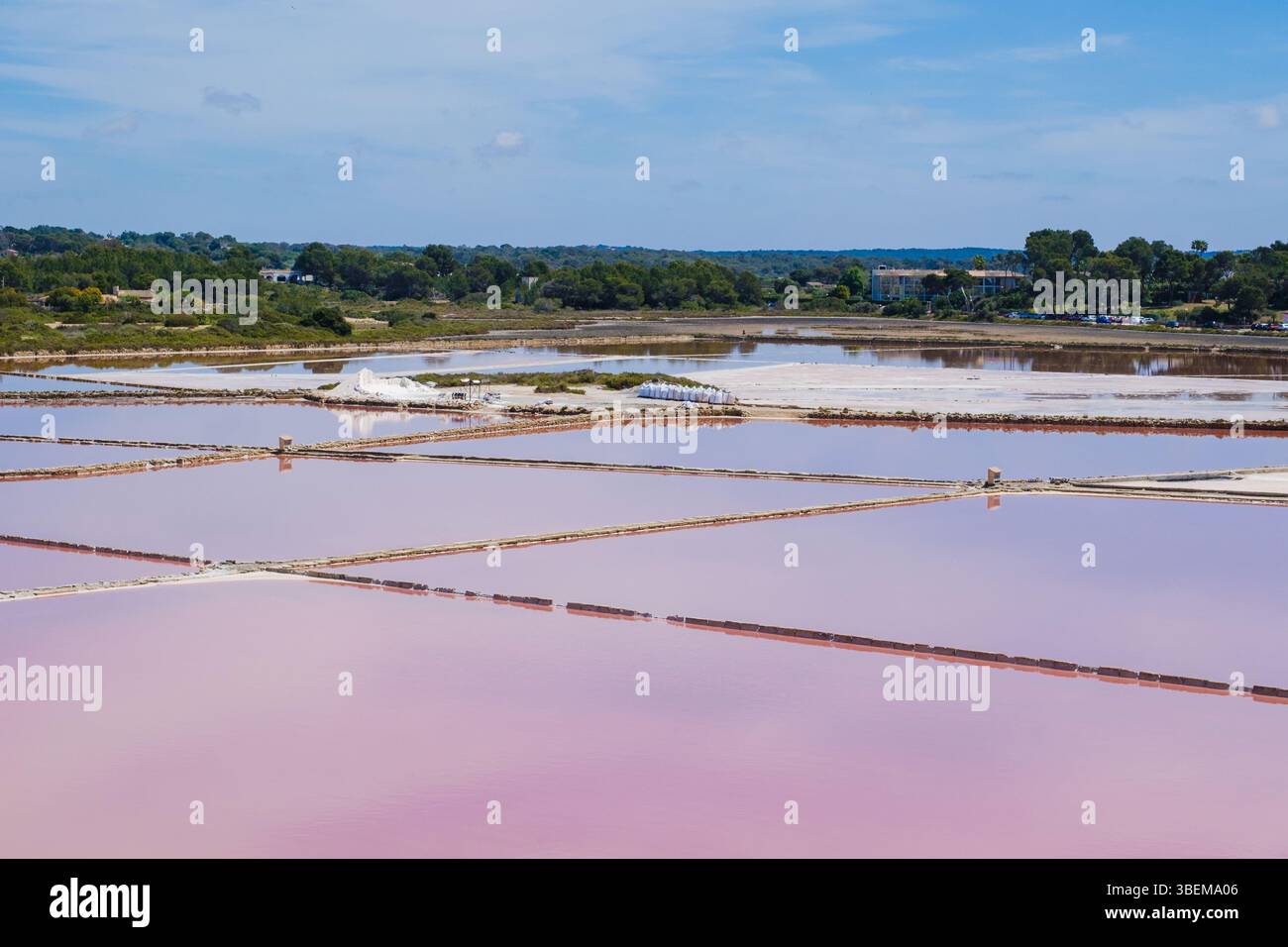 A stunning aerial view of expansive pink salt flats bordered by lush ...