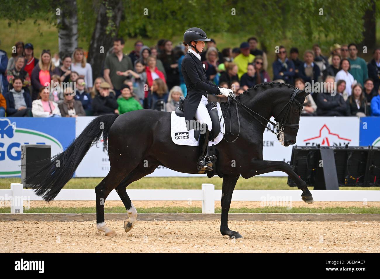Lisa MUELLER (GER) on Gut Wettlkam's Zonik Hit OLD, action, dressage ...