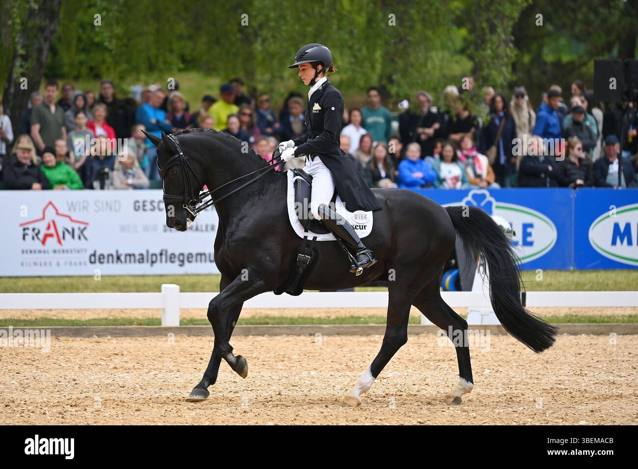 Lisa MUELLER (GER) on Gut Wettlkam's Zonik Hit OLD, action, dressage ...