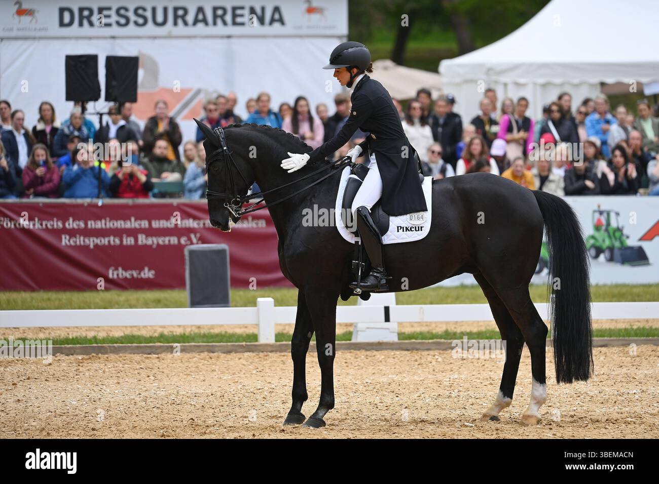 Lisa MUELLER (GER) on Gut Wettlkam's Zonik Hit OLD, action, dressage ...