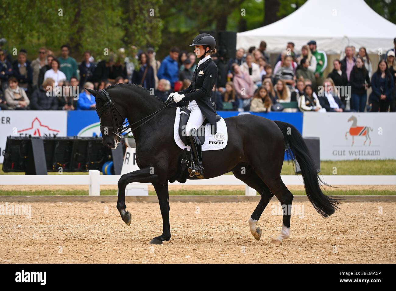 Lisa MUELLER (GER) on Gut Wettlkam's Zonik Hit OLD, action, dressage ...