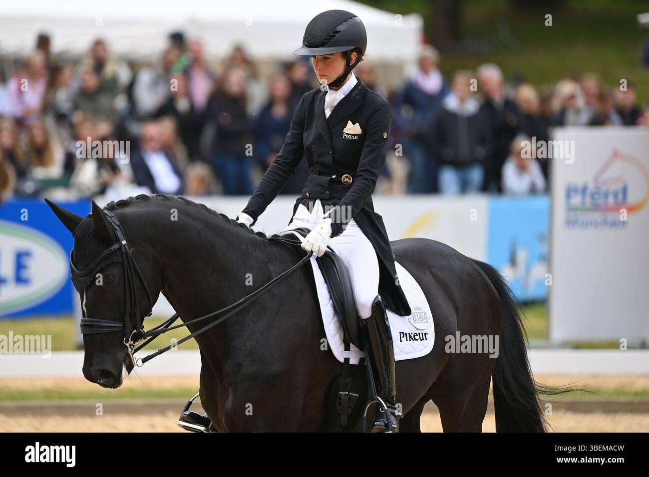 Lisa MUELLER (GER) on Gut Wettlkam's Zonik Hit OLD, action, dressage ...