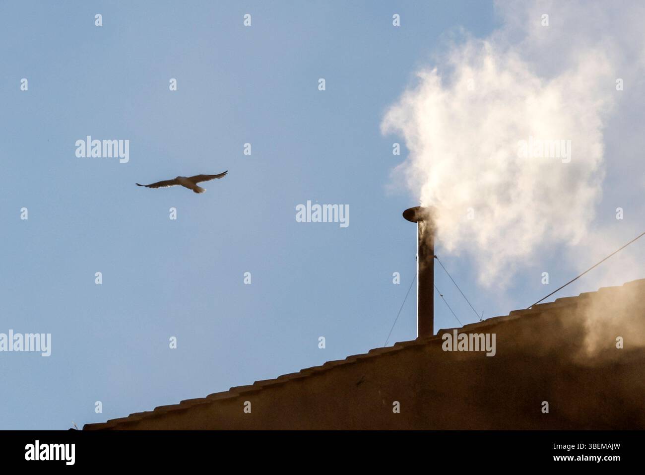 Vatican City, 8 May, 2025. White smoke emerges from the chimney atop ...
