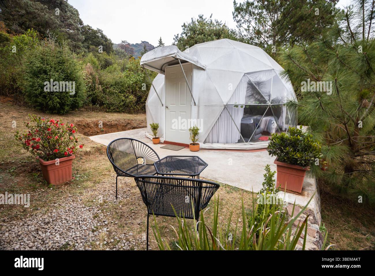 A glamping nestled amidst greenery offers a charming retreat. Black ...