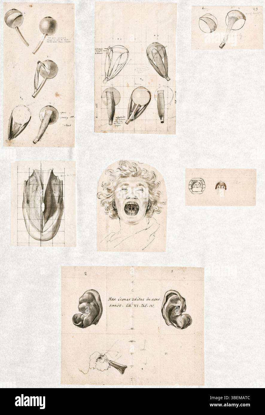 This series of preparatory drawings by Jan Wandelaar illustrates the ...