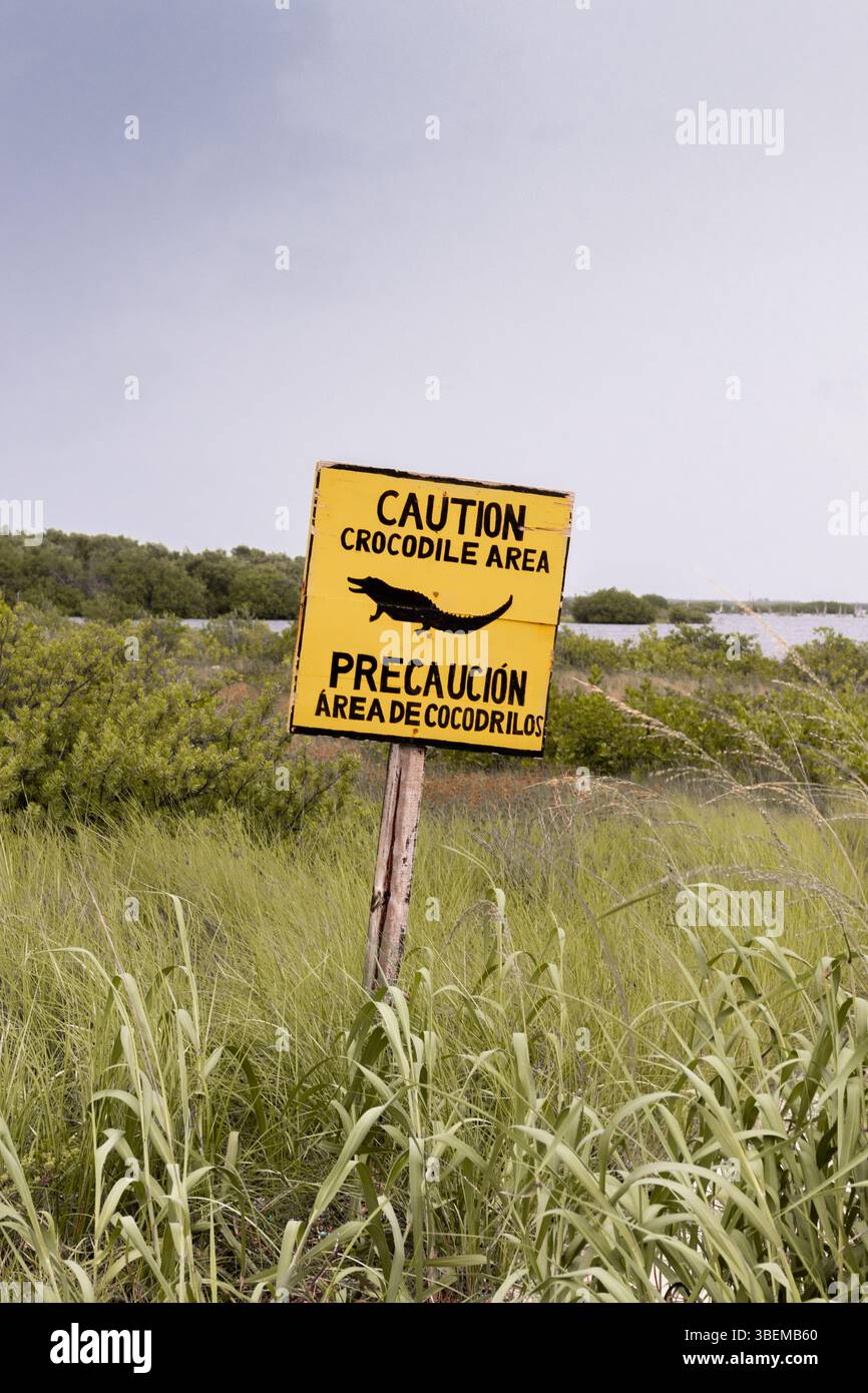 A vivid yellow caution sign prominently displayed in a verdant, bushy ...