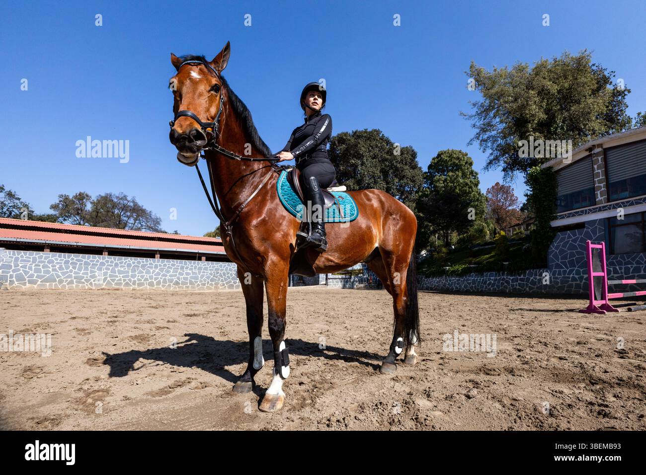 A rider in equestrian gear practices with a horse in an outdoor arena ...