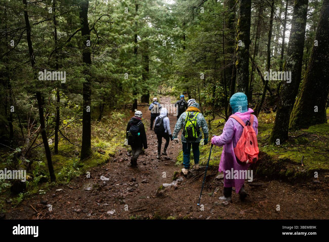Vibrant raincoats hi-res stock photography and images - Alamy
