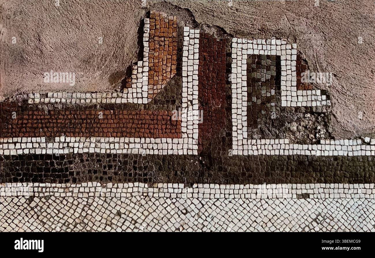 A detailed view of the mosaic pavement from Tablinum 33 in the House of ...