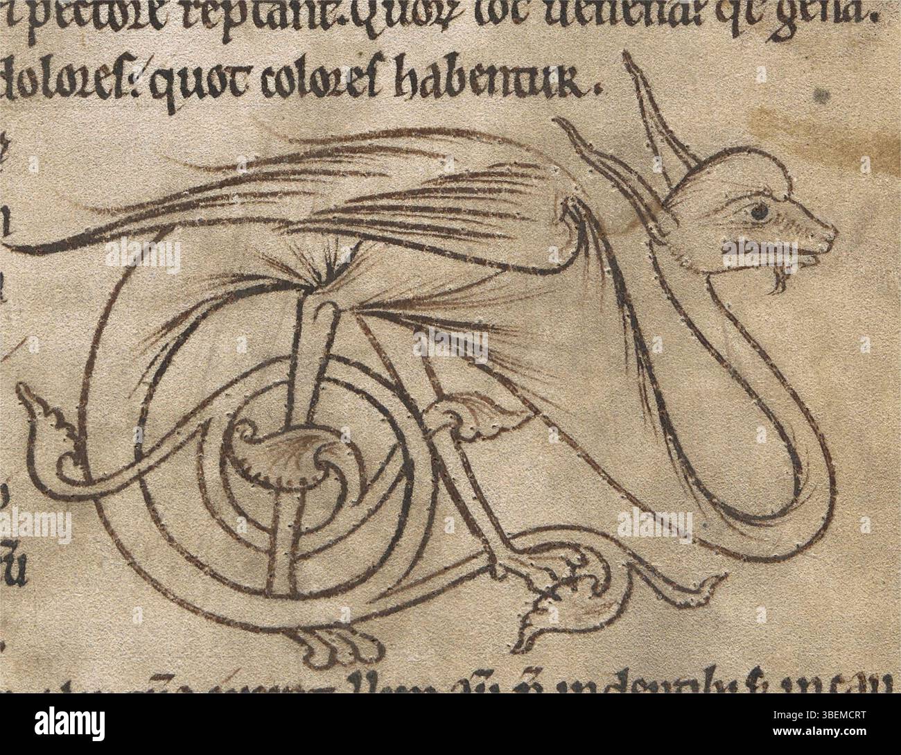A 12th-century British Library bestiary illustration of a dragon, a ...