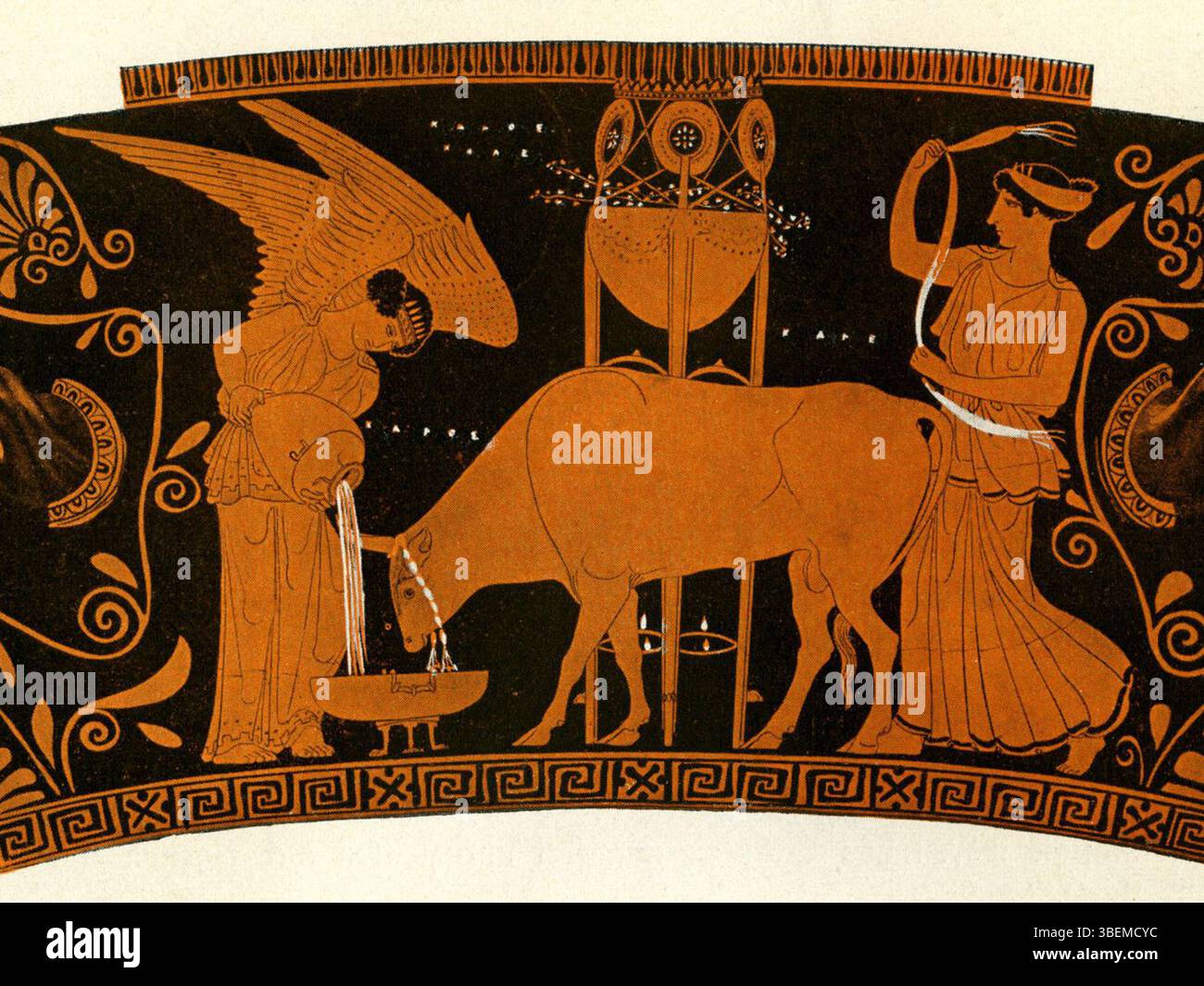 This image from an ancient vase depicts a woman slaughtering a bull ...