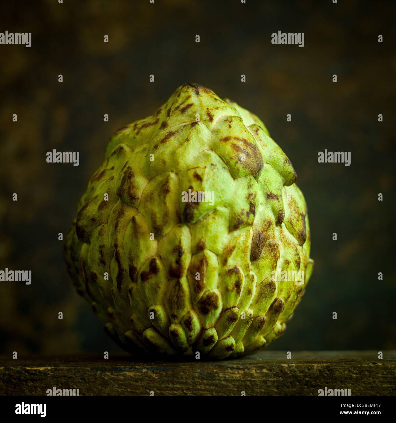 The sugar apple, known as annona squamosa, showcases its unique, scaly ...