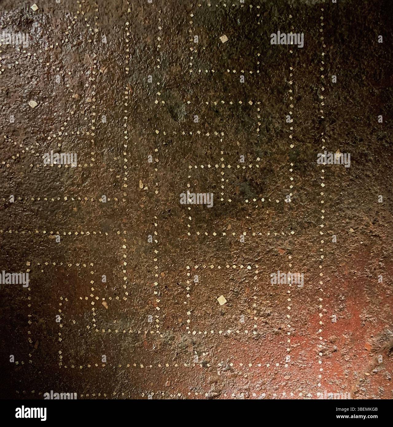 The mosaic floor of Room C in the House of the Ceii, Pompeii, features ...