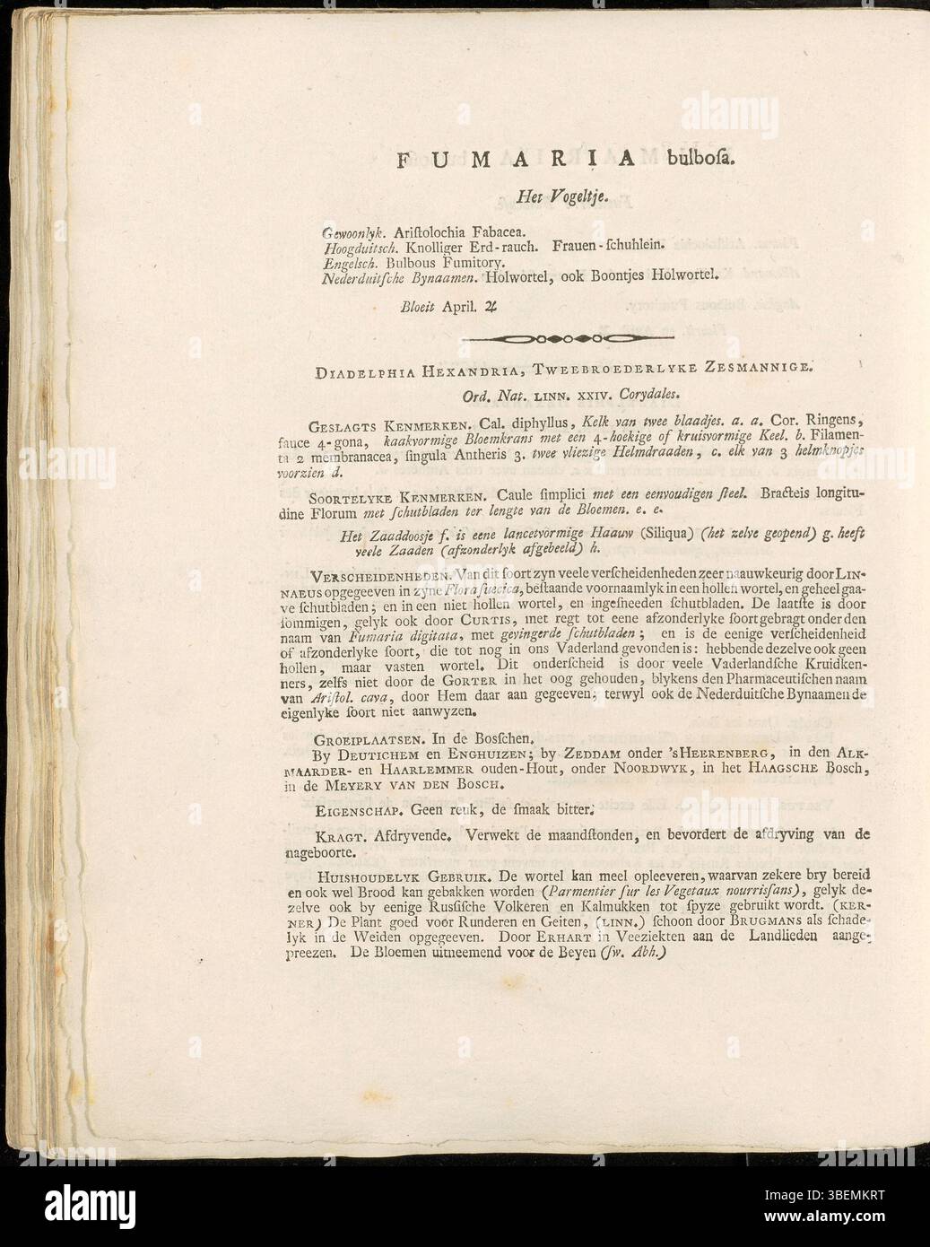 Plate 0017 of Jan Kops' Flora Batava features *Fumaria bulbosa*, now ...