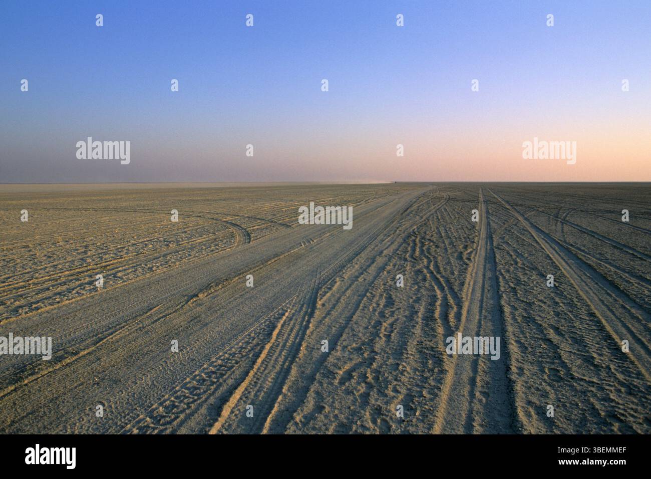 Africa. Botswana. Kalahari. Desert Stock Photo - Alamy
