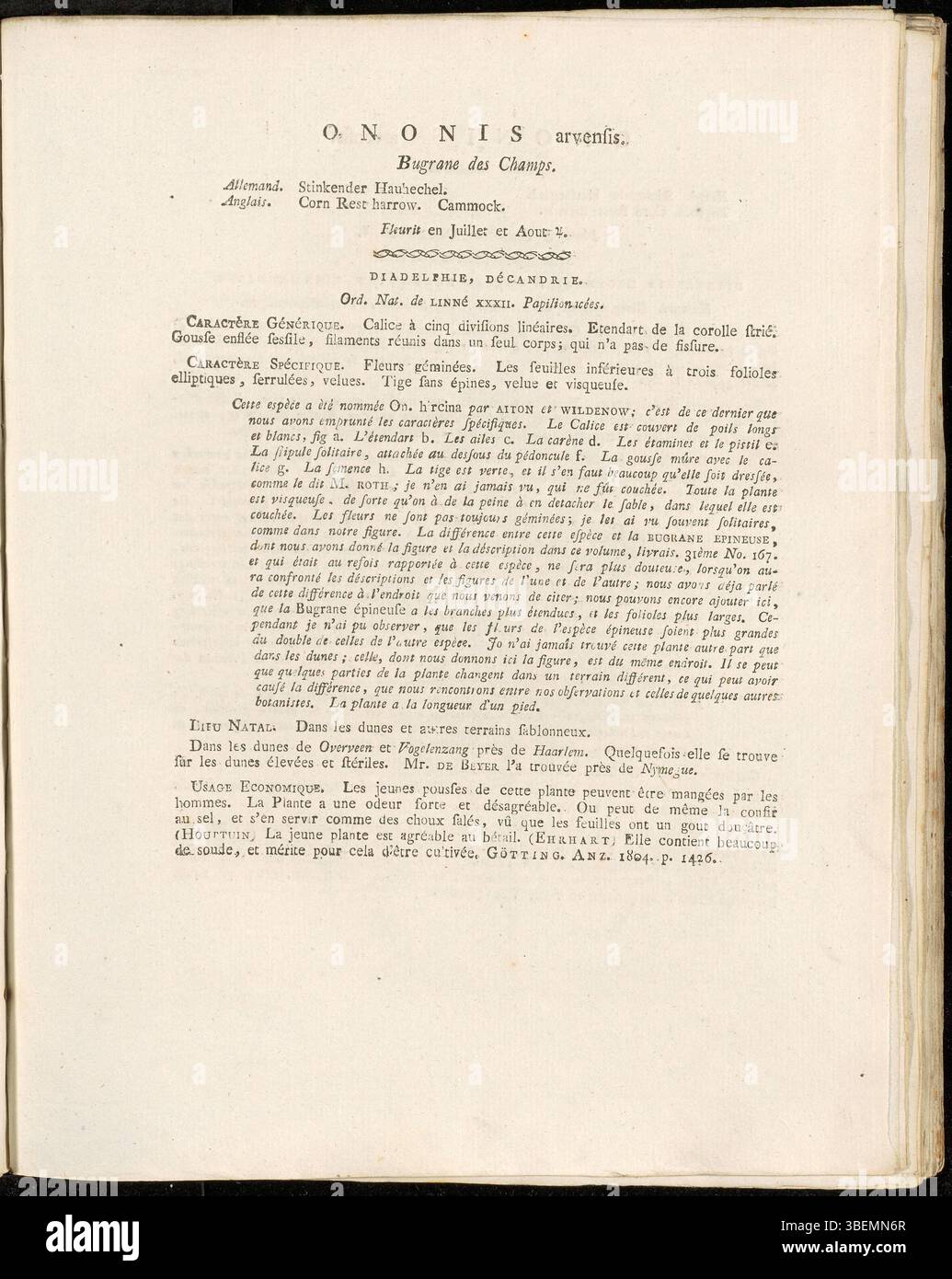 This French description from Jan Kops' Flora Batava (1814) features ...