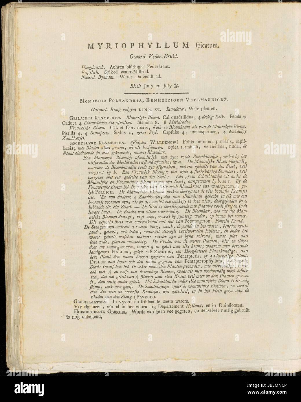 This botanical illustration from Jan Kops, dating back to 1807, depicts ...