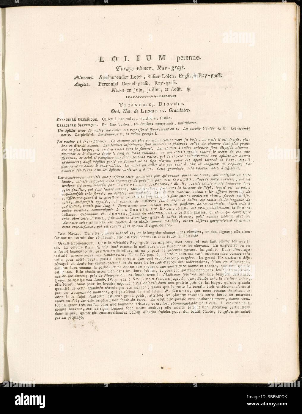 Plate 0201 from Jan Kops’ Flora Batava (1814) illustrates Lolium ...