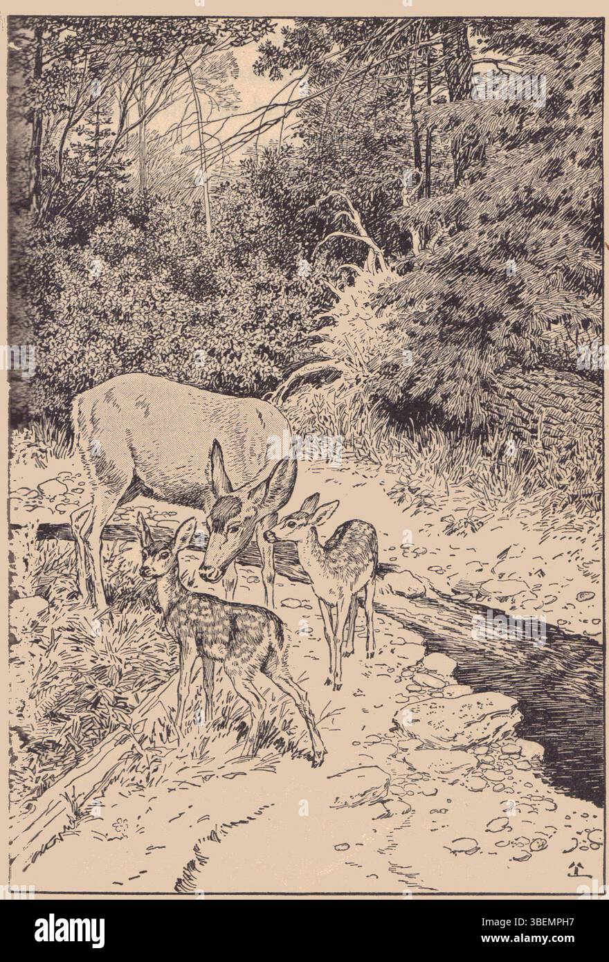 *What the Fawns Must Know* (1928) by Rodney Thompson (1878–1941 ...