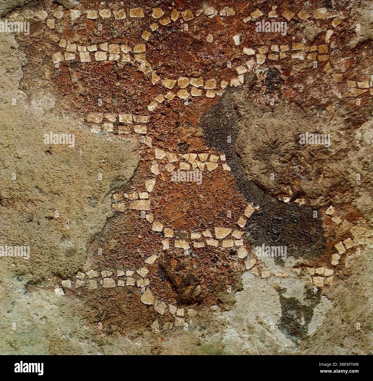 Pompeii floor tiles hi-res stock photography and images - Alamy