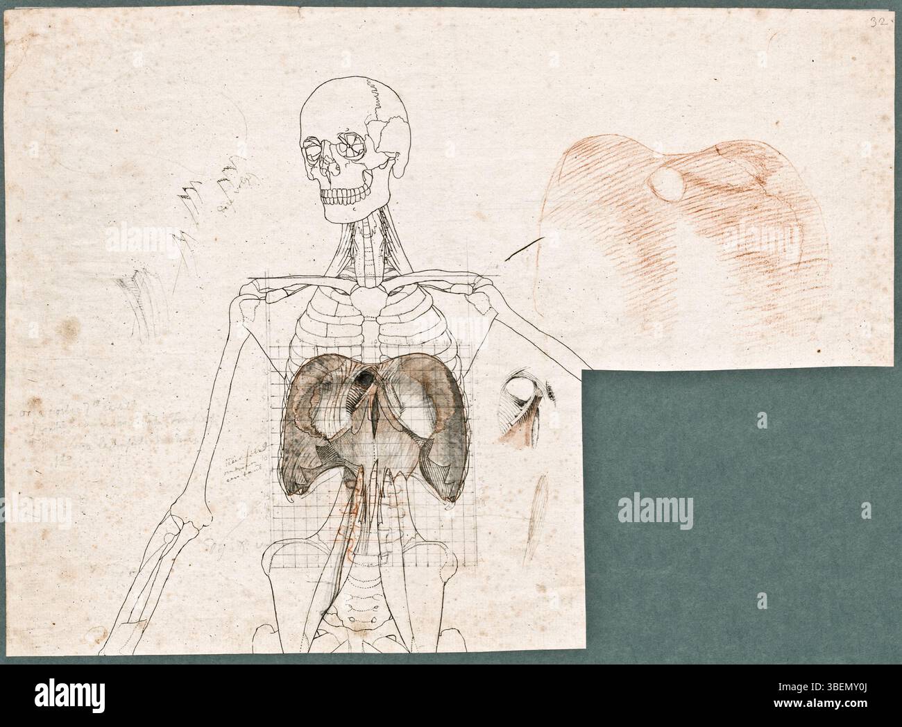 This anatomical drawing by Jan Wandelaar shows a human skeleton with ...