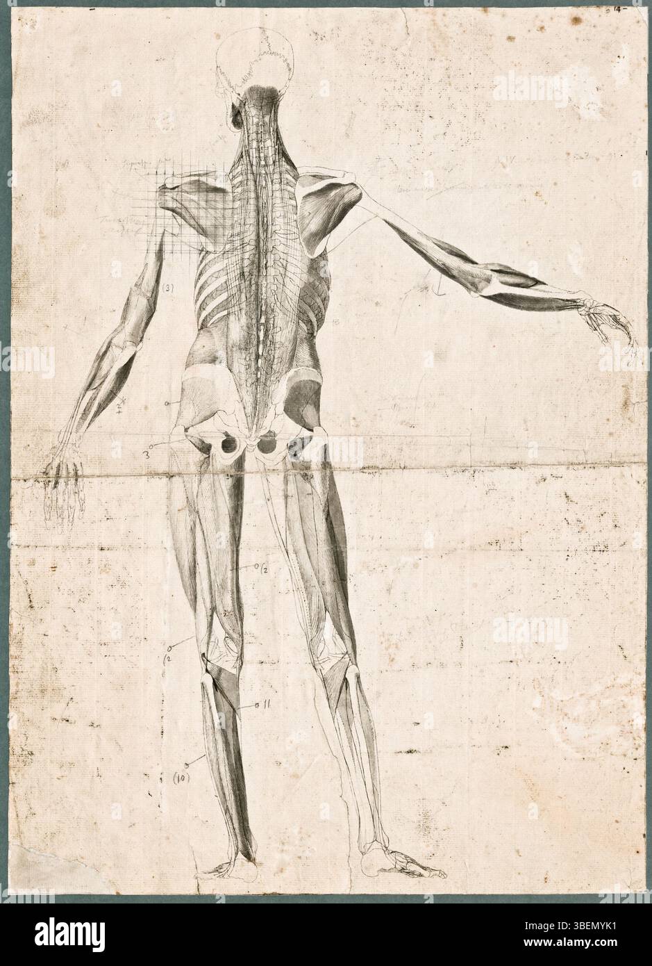 This preparatory drawing by Jan Wandelaar from the 18th century ...