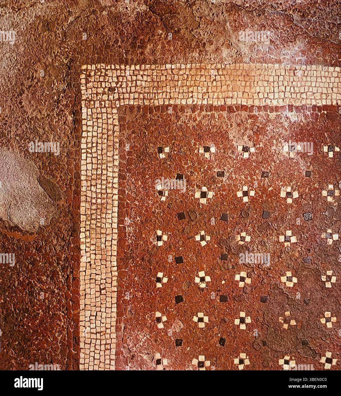 Detailed view of mosaic pavement in Triclinium 39, House of the ...