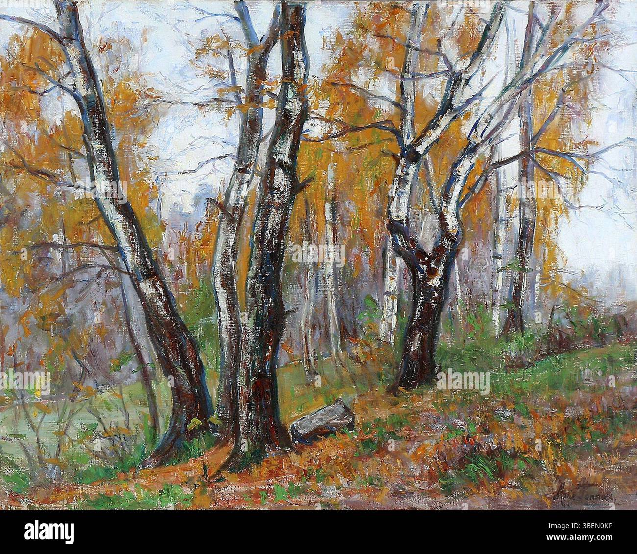 Marie Tannæs' 'Autumn Forest with Birch Trees', an oil on canvas piece ...