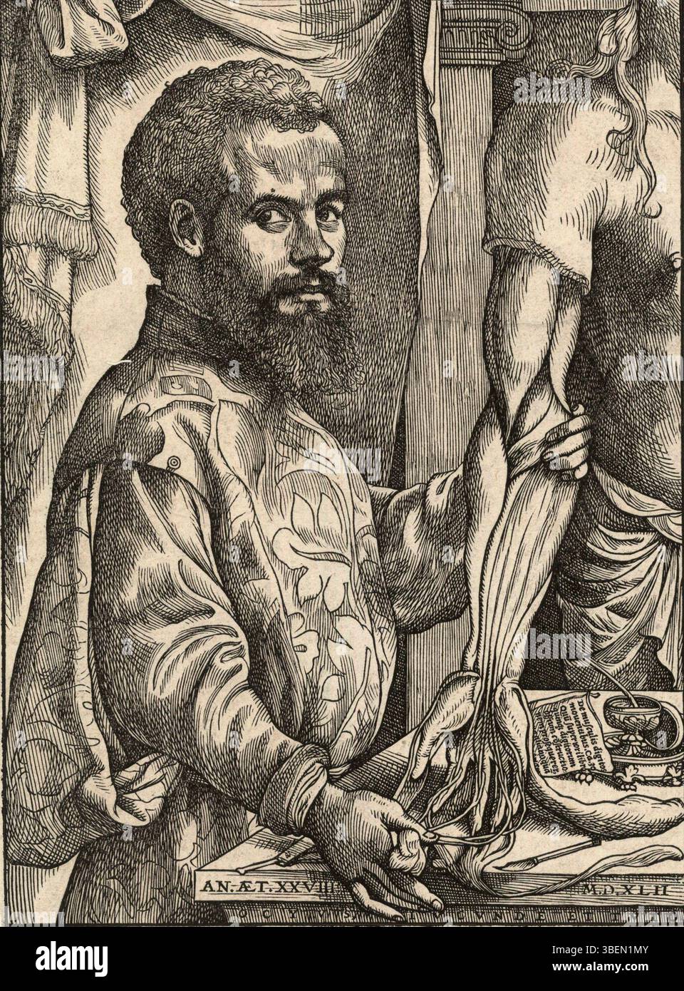 Andrea vesalius hi-res stock photography and images - Alamy
