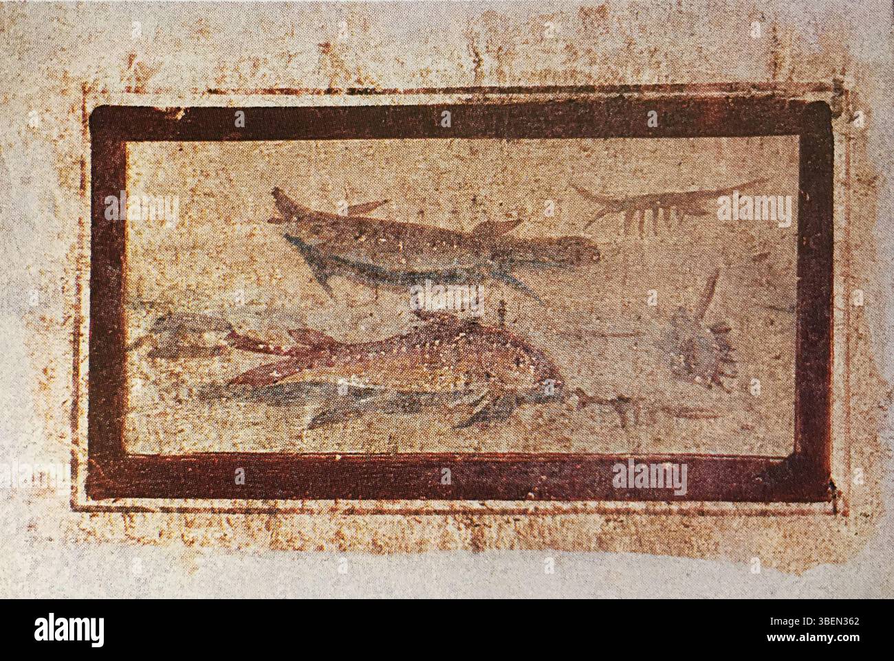 This fresco from the House of the Prince of Naples in Pompeii, dating ...