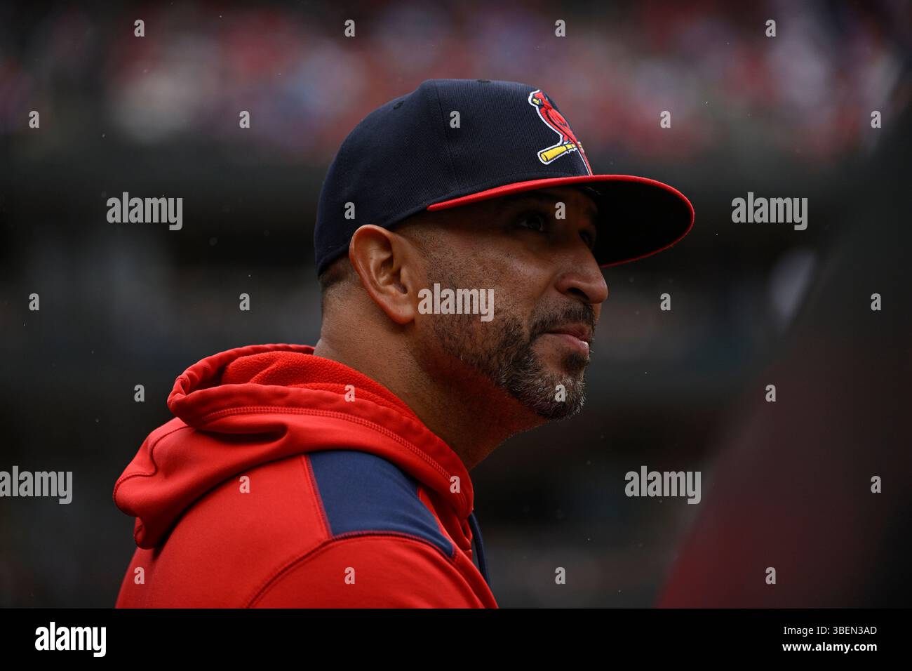 St. Louis Cardinals manager Oliver Marmol looks on in the sixth inning ...