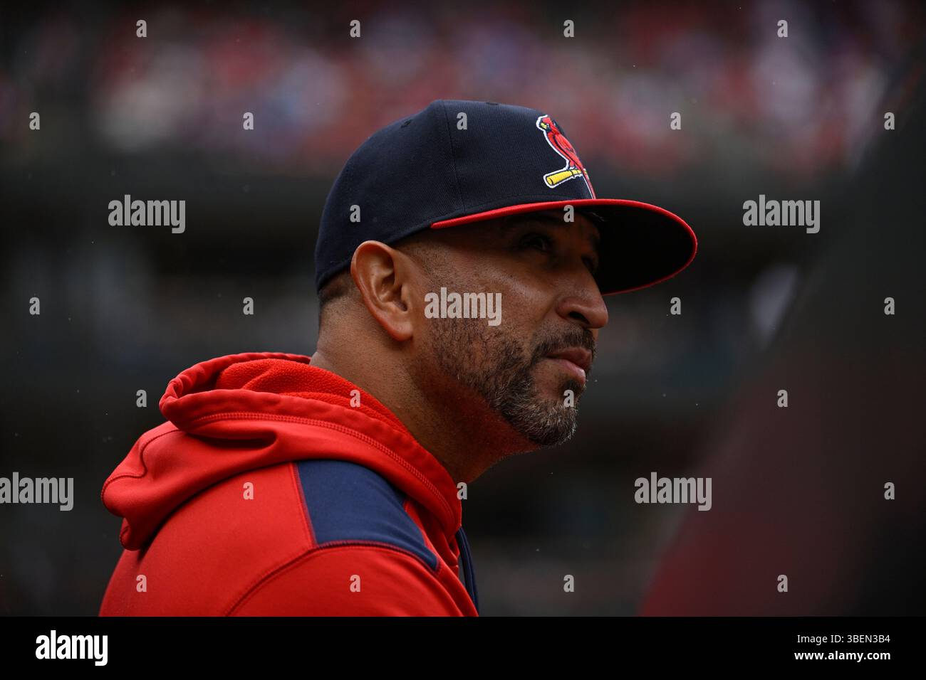St. Louis Cardinals manager Oliver Marmol looks on in the sixth inning ...