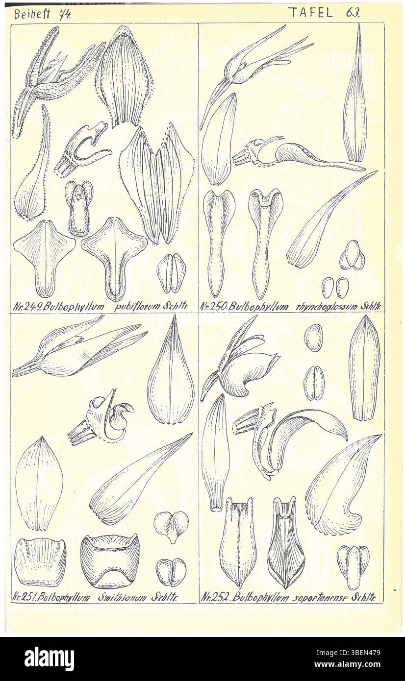 Exploration plates Cut Out Stock Images & Pictures - Alamy