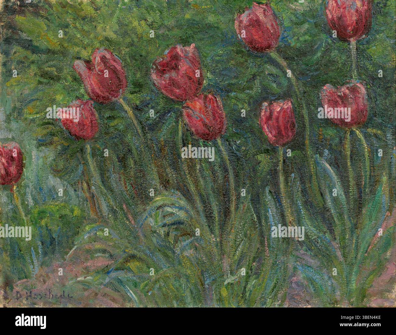 Blanche Hoschedé Monet's 'Tulipes (Giverny)' captures the beauty of ...