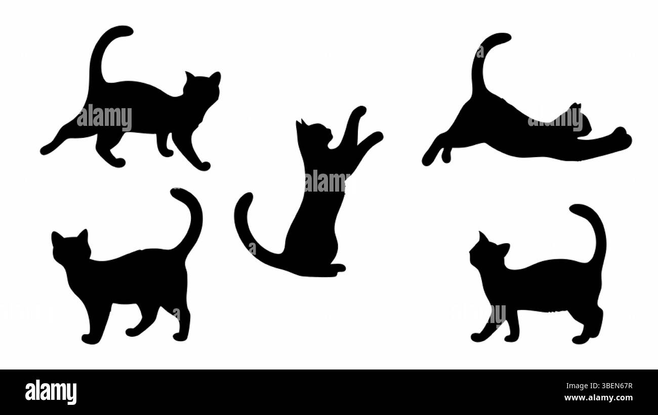 Cat behavior vector hi-res stock photography and images - Alamy
